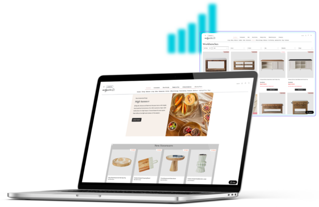 Ecommerce Challenges and Growth Strategies for 2025